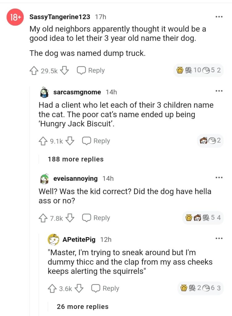 Vets share the worst pet names they’ve ever come across